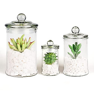 Easeen Mini Glass Apothecary Jars, Bathroom Storage Organizer Canisters for Cotton Swabs, Cotton Balls, Makeup Sponges, Bath Salts, Hair Ties, Makeup - Set of 3