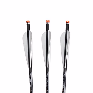 Excalibur FireBolt 20" Illuminated Carbon Lightweight Crossbow Arrows for Use on EXO-Traditional Series Crossbows - 3 Pack (EXLB-22CAVIL-3)