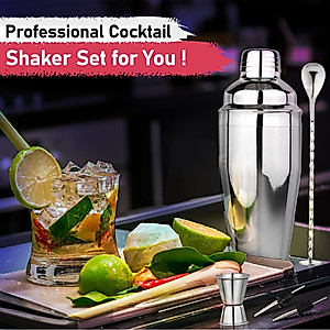 25oz Cocktail Shaker Set 5pcs Martini Shaker Set Portable Bartender Kit with Shaker, Mixing Spoon, Measuring Jigger, 2 Liquor Pour Spouts - Professional 18/8 Stainless Steel Bar Tools for Mixed Drinks
