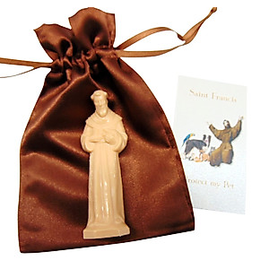 Westmon Works St Francis Pet Prayer Set Holy Card Patron Saint Novena Prayer with Plastic Saint Statue for Dog and Cat Owners