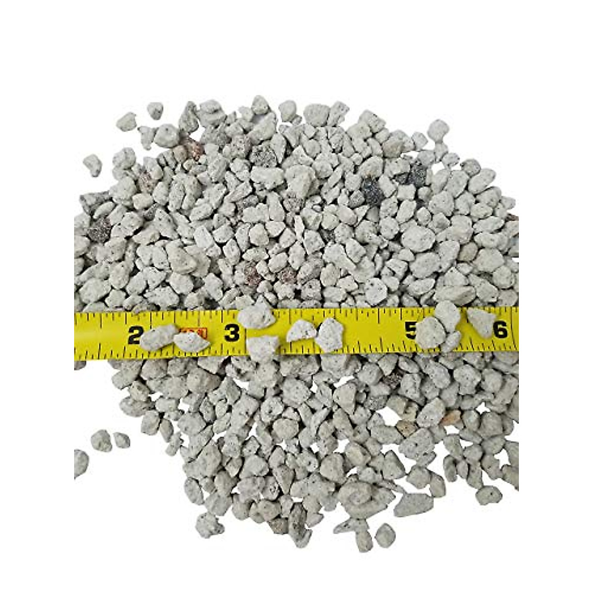 Bonsai, Cactus & Succulent Pumice - Professional Sifted and Ready to Use American … (2.5 Dry Quart)