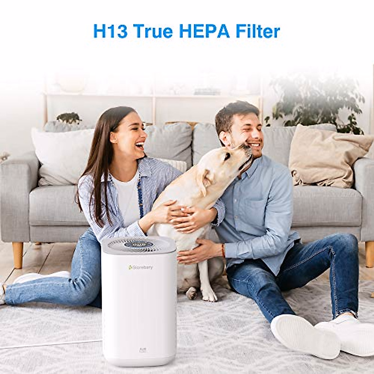 Storebary Air Purifier Replacement, C350-RF True HEPA High-Efficiency Activated Carbon Filter Fits for C350 (2 Pack)