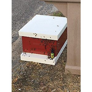 Swarm Commander 2oz Spray