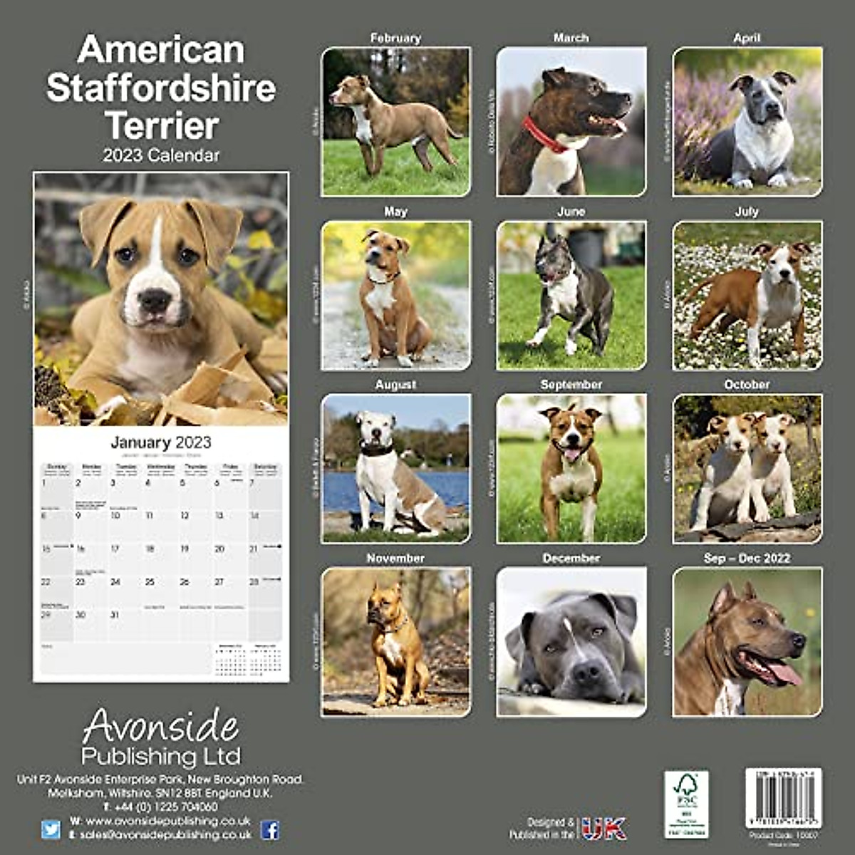 American Staffordshire Terrier Calendar - Dog Breed Calendars - 2022 - 2023 wall calendars - 16 Month by Avonside