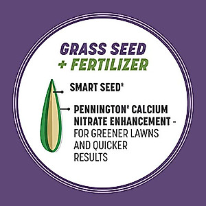 Pennington Smart Seed Dense Shade Grass Mix 7 lb