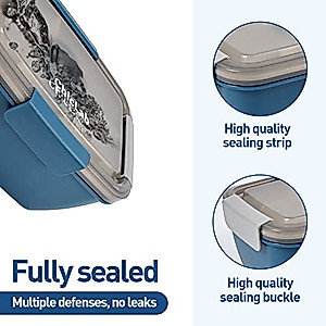 ChicLab Large Salad Lunch Box Adult - With 68-oz Salad Bowl, 5-Compartment Tray, 3-oz Sauce Container, Reusable Spork & BPA-Free