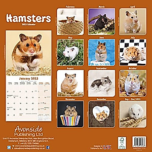 2023 Hamsters Wall Calendar