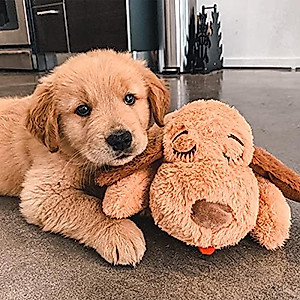 Original Snuggle Puppy Starter Kit with Snuggle Puppy Included. Starter Kit for Anxiety Relief and Calming Aid. Biscuit Coloured Puppy Included and Neutral Toy.