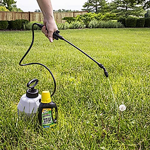 Spectracide Weed Stop For Lawns Concentrate2