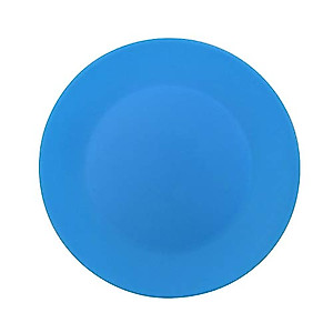 AOYITE Plastic Dinner Plates Reusable BPA Free Dishwasher Safe Microwaveable for Any Occasion, BBQ, Travel, and Events (Multicolor set of 12)