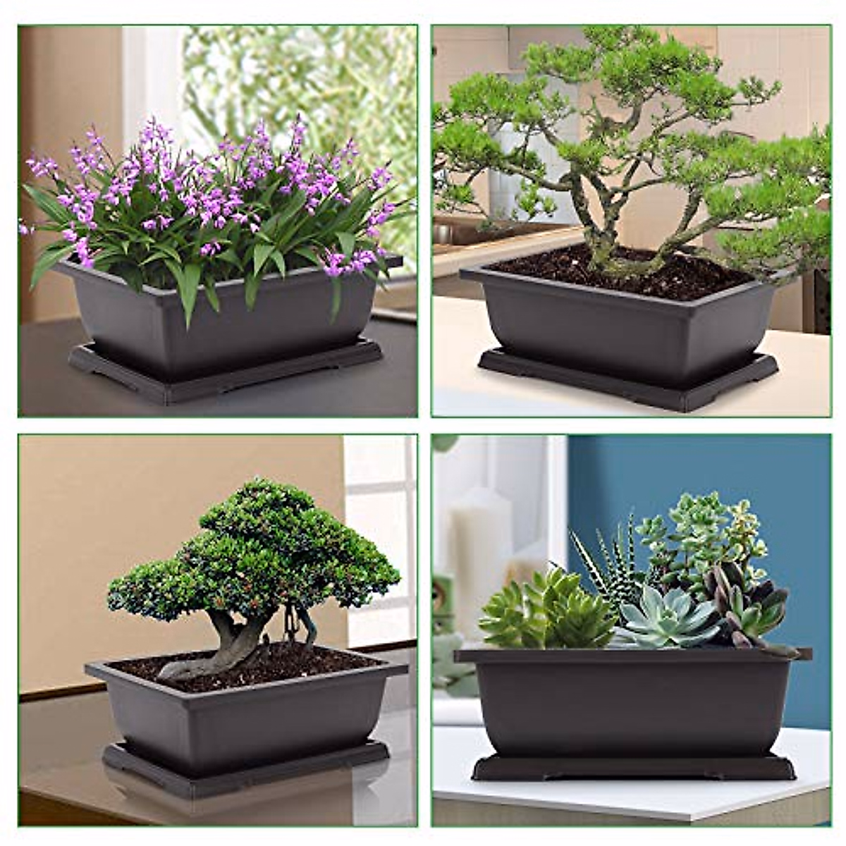 GROWNEER 3 Packs 11 Inches Bonsai Training Pots with 15 Pcs Plant Labels, Plastic Bonsai Plants Growing Pot for Garden, Yard, Office, Living Room, Balcony and More