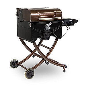 PIT BOSS Mahogany 260 Portable Wood Pellet Grill (PBPEL26010570)