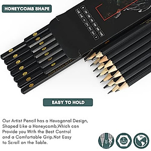 Drawing Pencils Set of 14 (B - 12B) Sketching Pencils for Drawing, Shading & Doodling | Professional Sketch Pencils Graphite Grades for Artists & Beginners