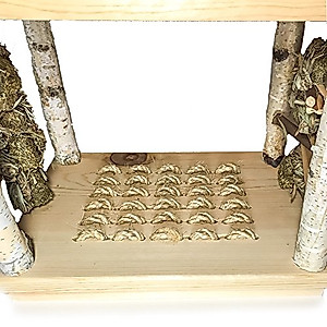 Small Pet Select Wonderland Play Table