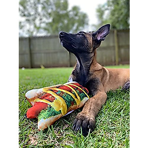 Doggijuana | Juananip™ Refill | Premium Organic Ground Catnip for Dogs | All Natural | Grown in The USA (Juananip Pack of 1)