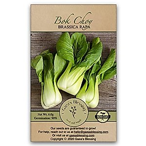 Gaea's Blessing Seeds - Bok Choy Seeds (2.0g) Canton Pak Choi Chinese Cabbage Non-GMO Seeds with Easy to Follow Planting Instructions - Heirloom 90% Germination Rate