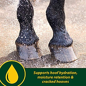 Farnam Horseshoer's Secret Extra Strength Hoof Supplements & Connective Tissue Supplement, Promotes Strong, Healthy Hooves, Tendon & ligaments, 7.5 lbs, 60 Day Supply