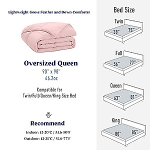 puredown® Goose Feather Comforter Oversized Queen Size, Lightweight Duvet Insert, Comforter Blanket for Bed, Noiseless Ultra-Soft Shell, Pink, 90×98 Inch