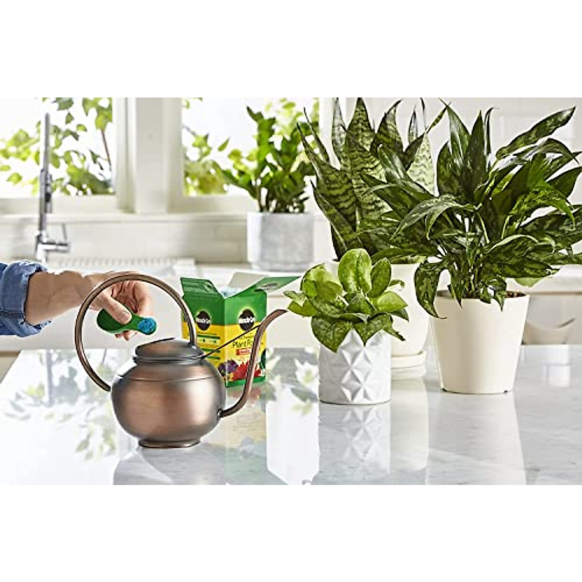 PLANT FOOD ALL PURP 1.5#