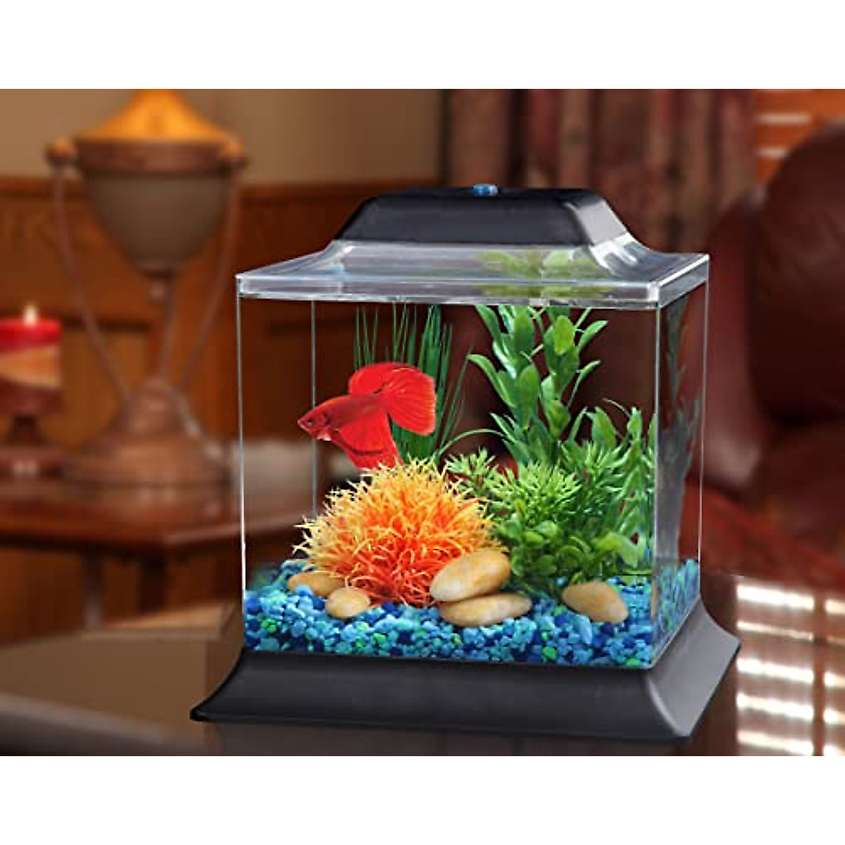 Koller Products 1.5-Gallon AquaScene Aquarium with LED Lighting