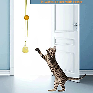 Trumoon Cat Toy Set, Cat Caterpillar Wand Toy & Hanging Interactive cat Toys & Cat Fuzzy Balls with Bell for Indoor Cats Kitten Play Chase Exercise (Snowman)