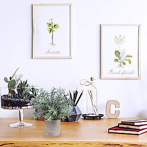 Winlyn Mini Potted Plants Artificial Flocked Eucalyptus Boxwood Rosemary Greenery in Pots Faux Potted Herbs Small Houseplants 8.8"-10" Tall for Indoor Greenery Tabletop Décor Centerpiece 3 Pack