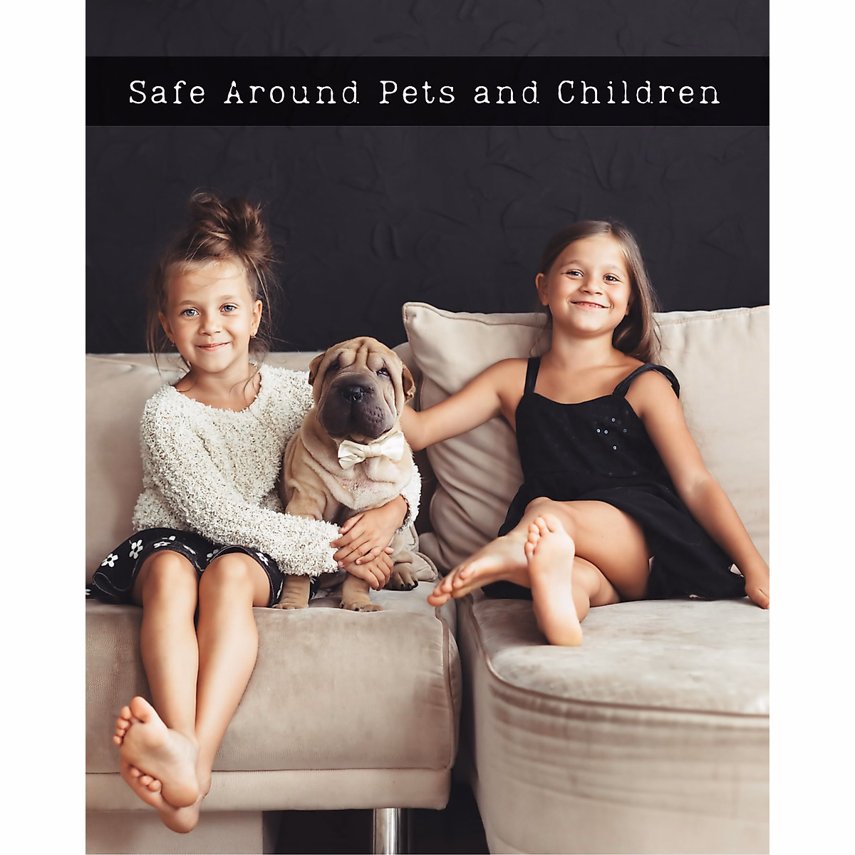 Santal Perfume Roll On with Pure Organic Jojoba Oil, Alcohol Free, Eau de Toilette, Made in California 33