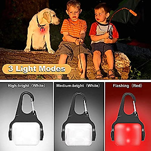 Dog Lights for Night Walking, Clip on USB Rechargeable Dog Collar Light, 3 Light Modes Dog Light, IP65 Waterproof Dog Light, LED Safety for Running, Camping, Climbing, Bike, 2 Pack