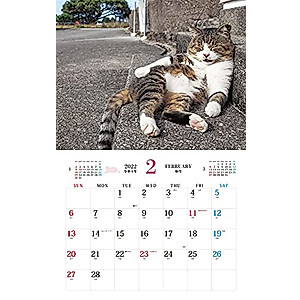 そとねこ (インプレスカレンダー2022)