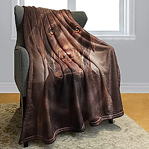 HommomH Chocolate Lab Blanket, Brown Labrador Dog Print, Soft Fluffy Fleece Throw, 50"x60"