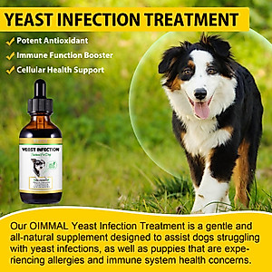 Natural Yeast Infection Treatment for Dogs - Supports Healthy Itch Relief & Inflammation - Dog Ear Infection Treatment & Allergy Relief - Itch Relief for Dogs, Dog Ear Treatment for Infections-2 fl oz