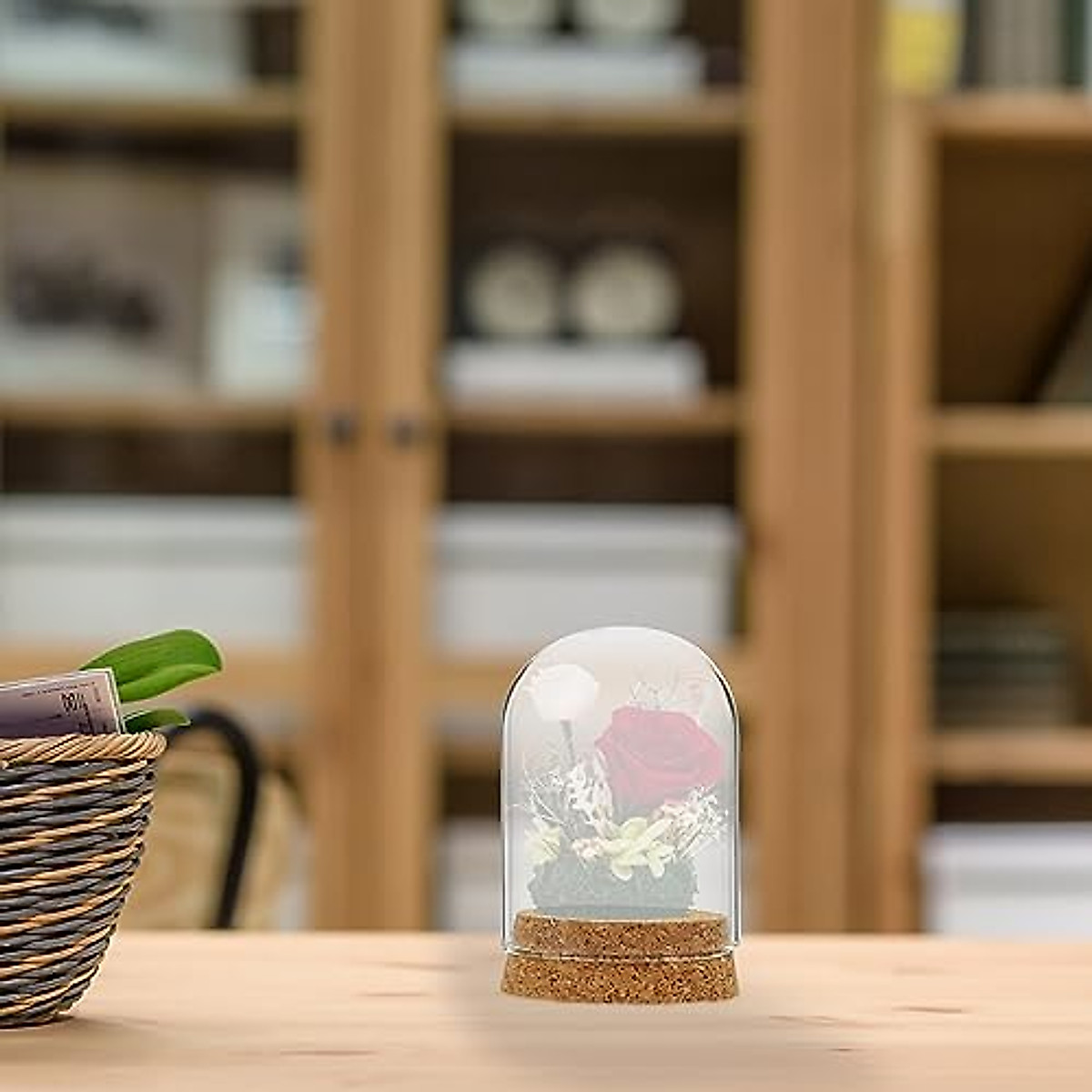 GANAZONO 2Sets Glass Display Dome Cloche Tabletop Display Case with Cork Base DIY Snow Globe for Office Home Halloween Christmas Wedding Tabletop Centerpiece Decoration