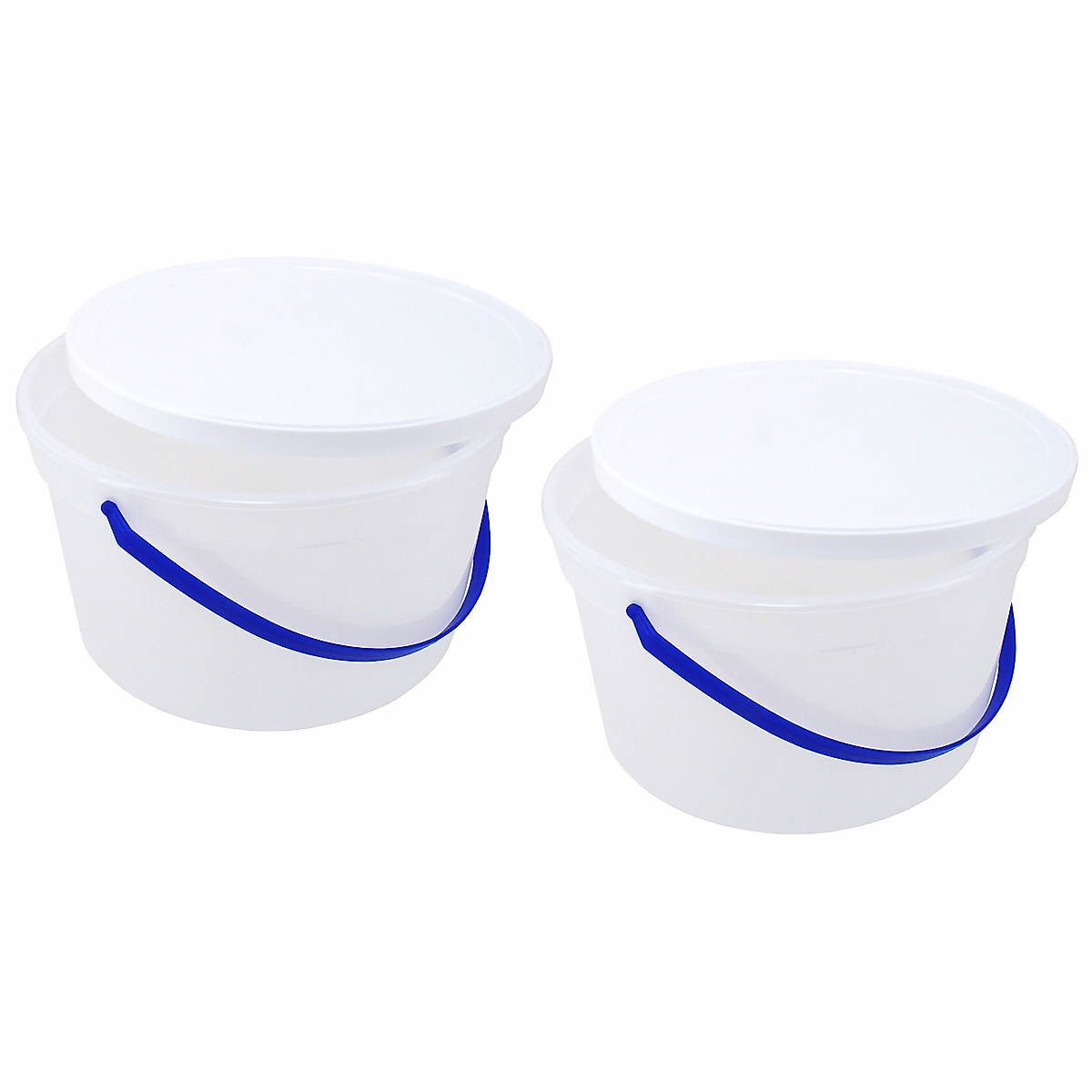 1 Gallon Ice Cream Tub with Lid (2)