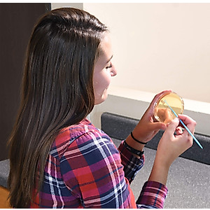 Lactobacilli MRS Agar, for The Cultivation of Lactobacillus Spp, 15x100mm Plate, Order by The Package of 10, by Hardy Diagnostics