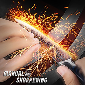 FANTECK 5 Inch Utility Knife, Japanese Damascus VG10 67 Layer Kitchen Fruit Paring Chef Utility Knives -Blue G10 Handle,-Razor Sharp, Stain & Corrosion Resistant, & Awesome Edge Retention