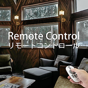 SKIVTGLAMP Industrial Wall Sconce Plug-in Cord with Remote Control, No Drilling Wall Mounted Dimmable LED Edison Bulbs Farmhouse Wall Hanging Upward for Home Decor Gallery Customizable 2 Lights