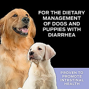 Purina FortiFlora Probiotics for Dogs, Pro Plan Veterinary Supplements Powder Probiotic Dog Supplement – 30 ct. box