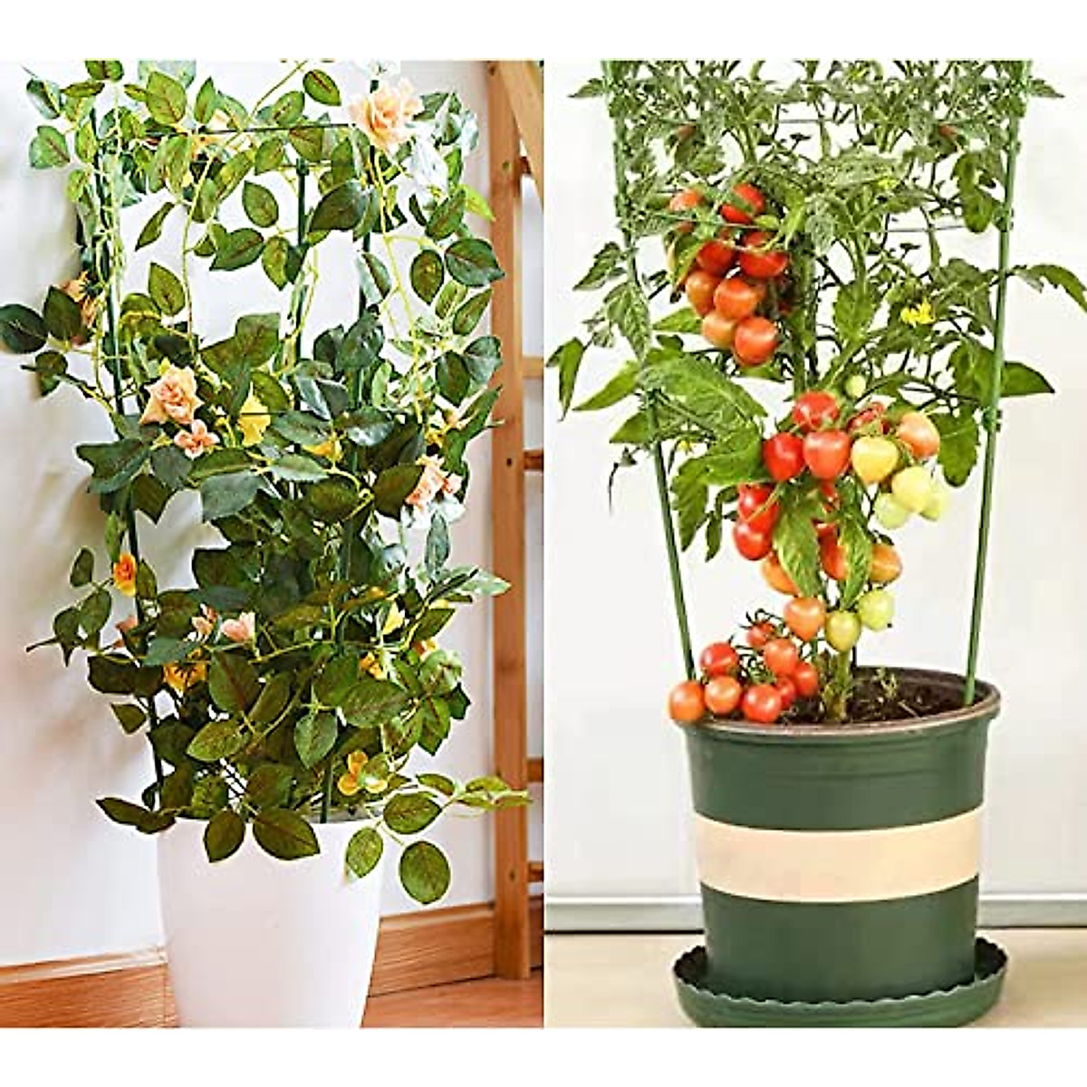 Tomato Cage for Pots 36 inch 4 Pack Garden Plant Support Tomatoes Trellis Cages with 4 Stakes & 5 Adjustable Rings for Cherry Tomato Vegetables Cucumber Climbing Plants Flower Rose Indoor Outdoor