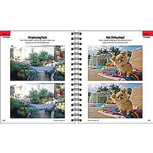 Brain Games - Picture Puzzles: Goes to the Dogs