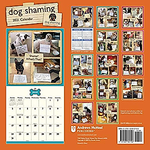 Dog Shaming 2021 Wall Calendar