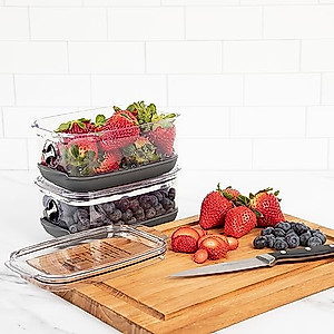 ProKeeper+ by Progressive Stackable Produce ProKeeper Storage Container with Stay-Fresh Vent System (PKS-912 (1.2 qt Berry Keeper))