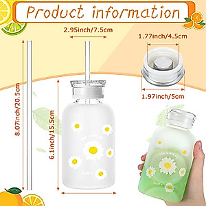 3 Pcs 480ml/16oz Cute Glass Water Bottles Reusable Aesthetic Milk Juice Water Bottles with Scale 6 Lids and 3 Straws Portable Matte Glass Cups Little Daisy Kawaii Frosted Bottles for Women Girls