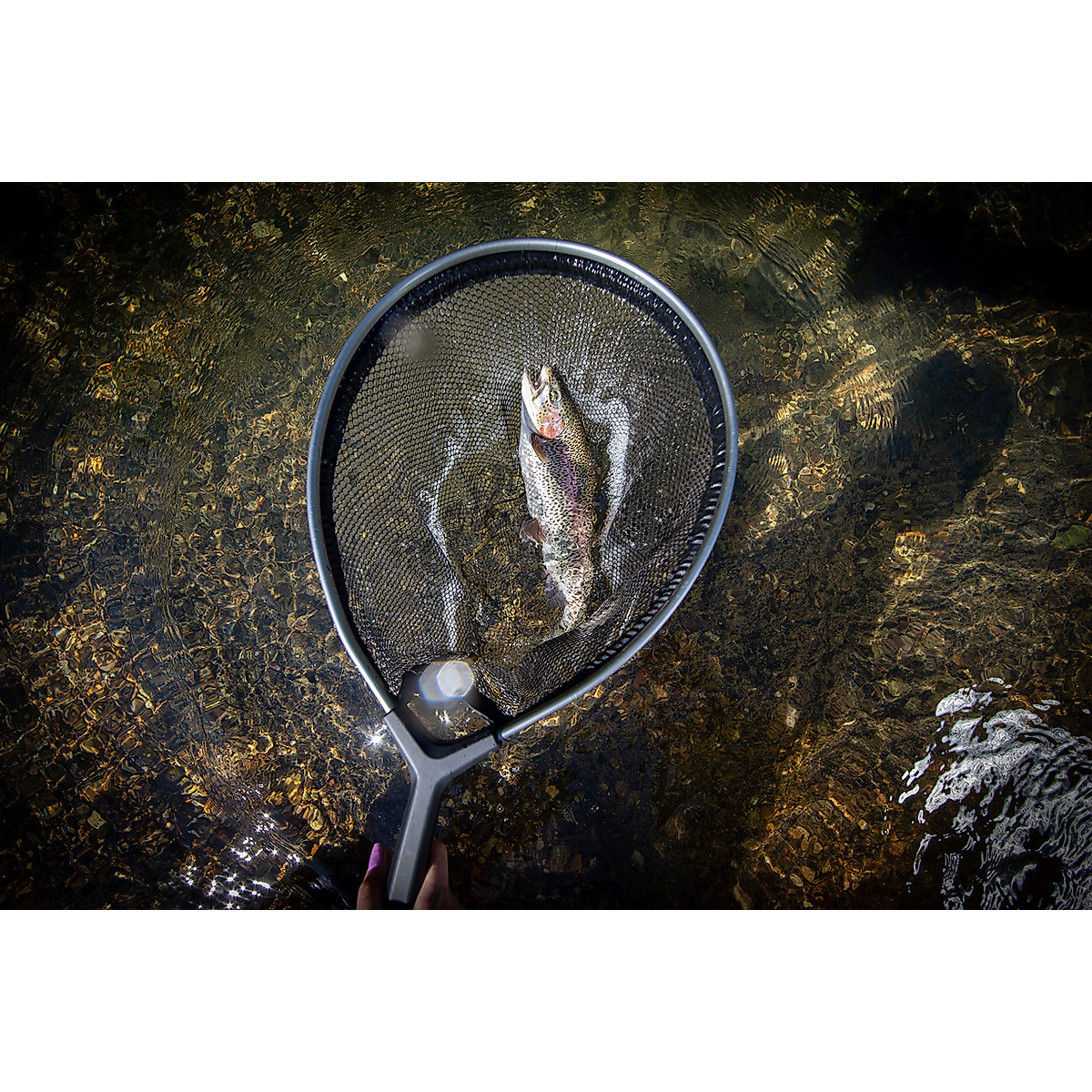 Frabill Floating Trout Net, 13" x 18", Black Finish, Fish Landing Net, Tangle-Free Micromesh Netting is Gentle on Fish, Comfortable Handle with Built-in Lanyard and Carabiner