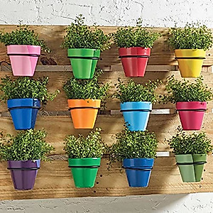 Plaid 50557E Flat Brush, (2-Piece), Gold Taklon