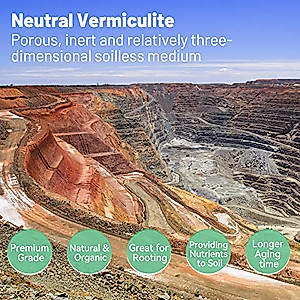 Organic Vermiculite Bulk, Horticultural Vermiculite for Plants, Soil Additive for Potted Plants, Vermiculite Coarse Hydroponic for Succulent Orchid Gardening Reptiles 3Qt