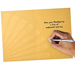 Hallmark Funny Shoebox Funny Thanksgiving Card Assortment (6 Cards with Envelopes)