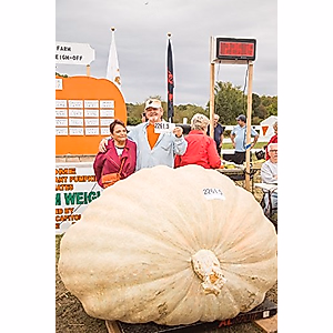Ron Wallace's Whoppers Giant Pumpkin Seeds (5 Seeds per Package)