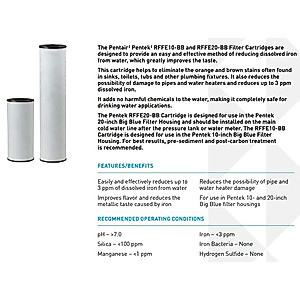 Pentair Pentek RFFE20-BB Big Blue Water Filter, 20-Inch, Whole House Radial Flow Iron Reduction Replacement Cartridge, 20" x 4.5", White