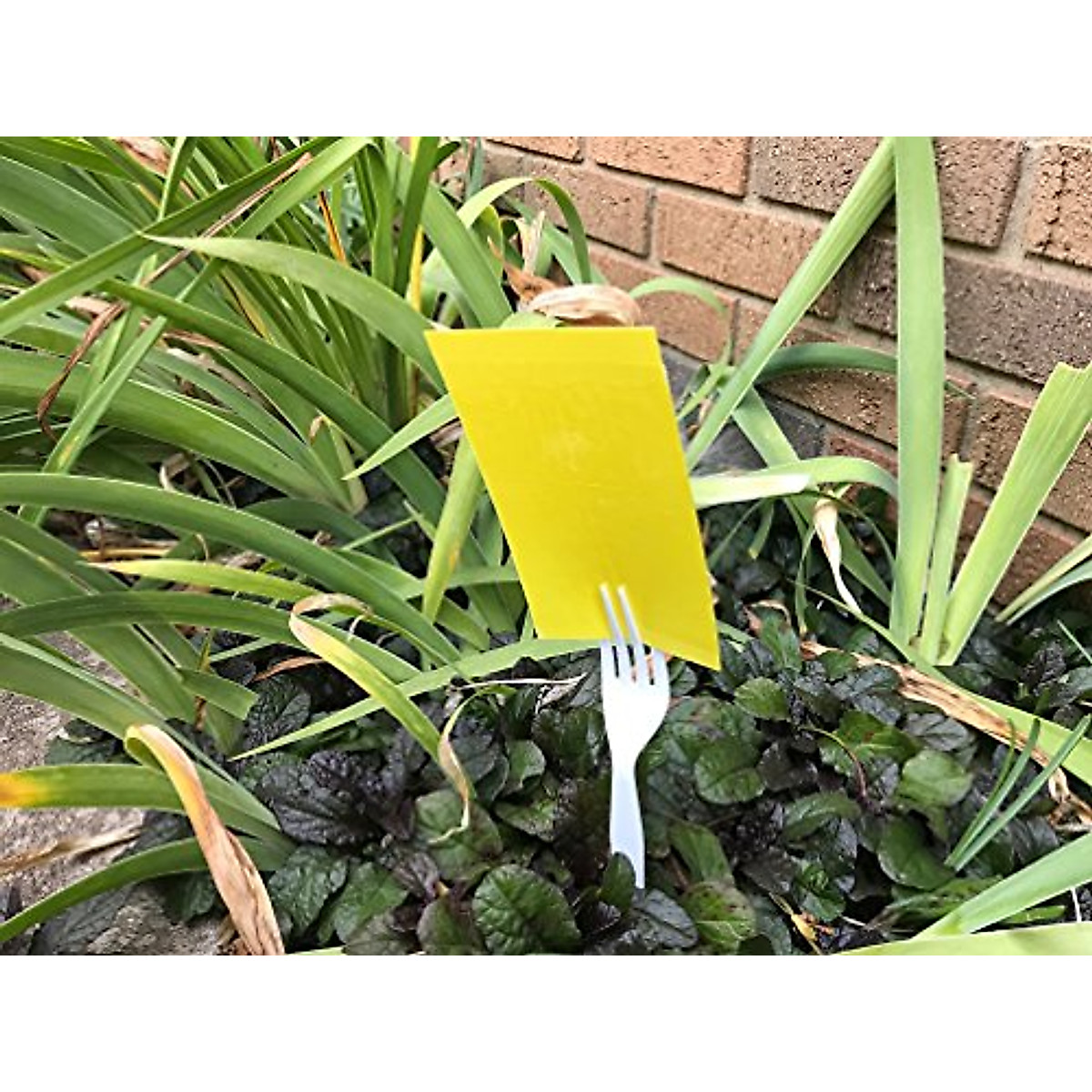 The Original Sticky Strip 3" x 5" Yellow (100Pack)