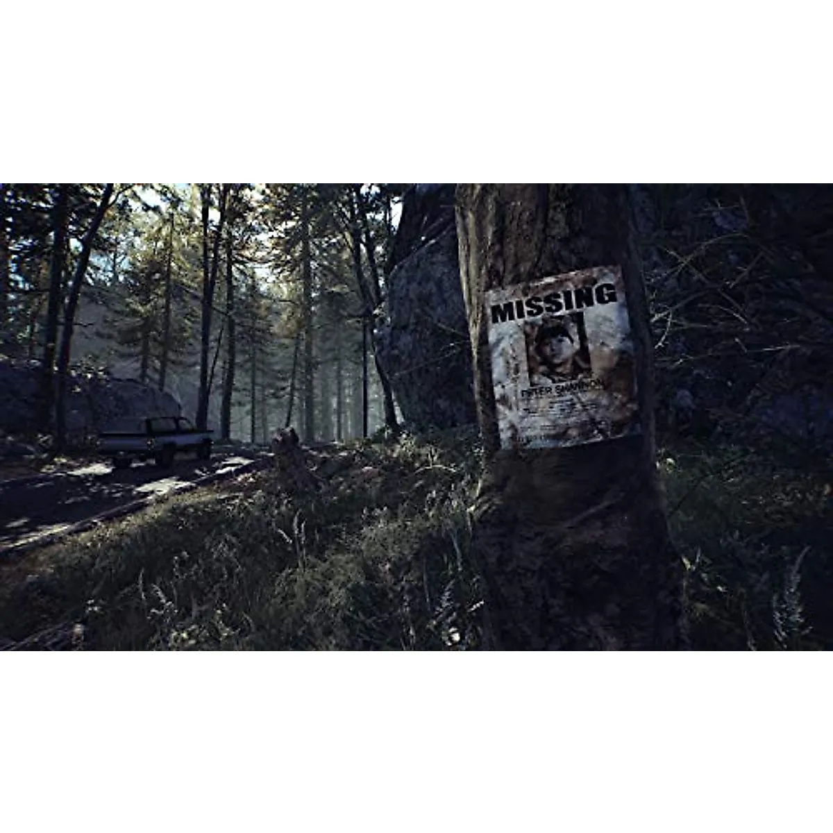 【2020年夏発売予定】ブレア・ウィッチ 日本語版 初回限定版